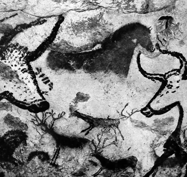 Cave art paintings, prehistoric discovery Our beautiful Wall Art and ...