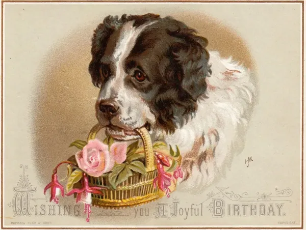 Dog carrying basket of flowers on a birthday card Our beautiful Wall ...