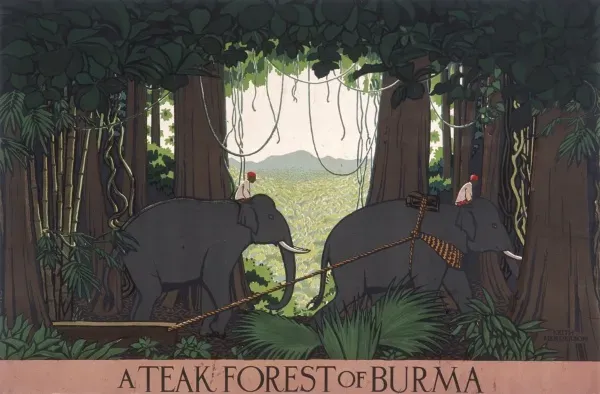 Poster depicting a teak forest in Burma Our beautiful Wall Art and ...