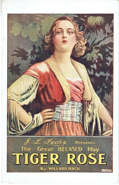 Tiger Rose by Willard Mack Our beautiful Wall Art and Photo Gifts ...