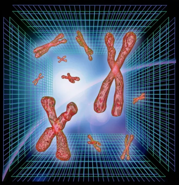 Computer artwork of chromosomes over grids Our beautiful Wall Art and ...