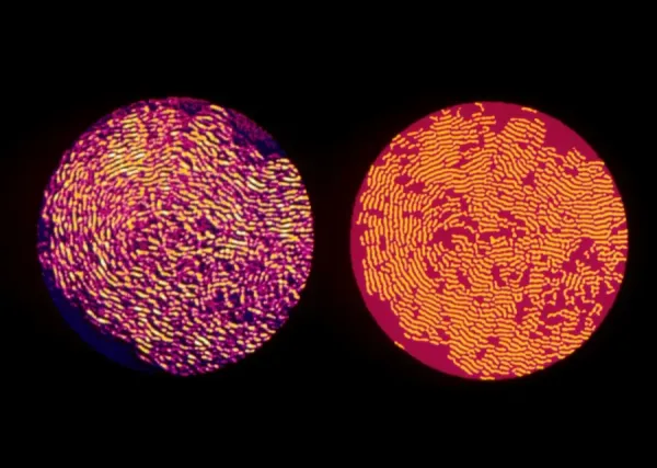 False colour TEM and fingerprint of soot (diesel) Our beautiful Wall ...