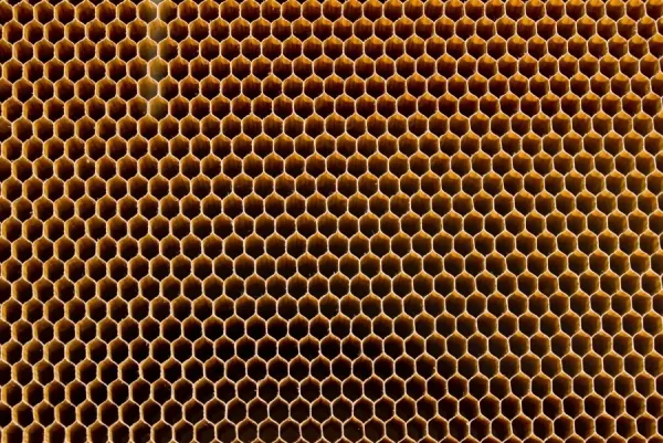 Honeycomb core Our beautiful Wall Art and Photo Gifts include Framed ...