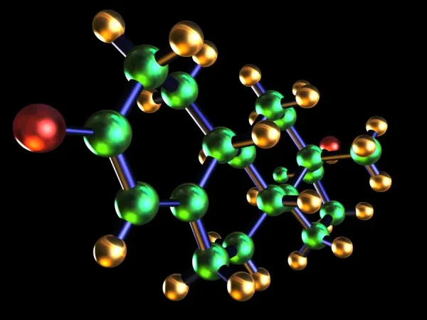 Steroid Molecule