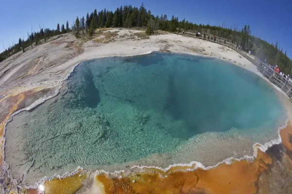 Black Pool Yellowstone Black Opal Pool In Yellowstone National Park,
