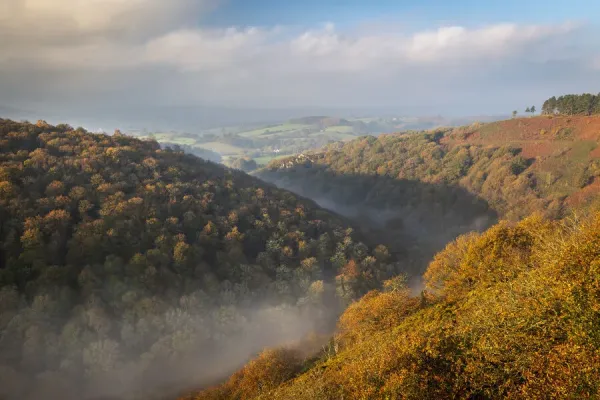 Misty Autumn Morning Fall Misty Autumn Morning Landscape In The