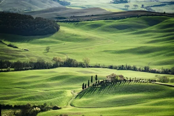 Tuscany Hills In Early