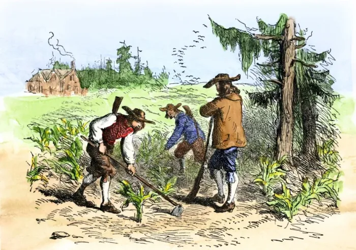 South Carolina Crops Colonial Times It's Time For…. Name That