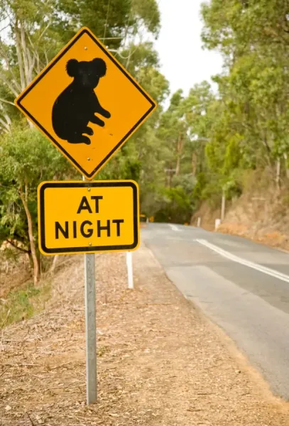 Koala Road Sign Koala Bear Sign Warning Photos, Images And Pictures