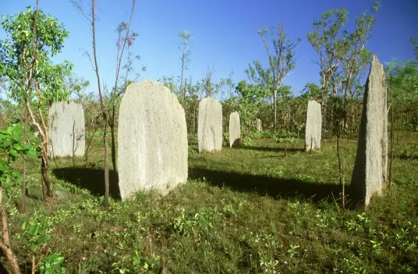 Litchfield National Park (Darwin Surrounds)