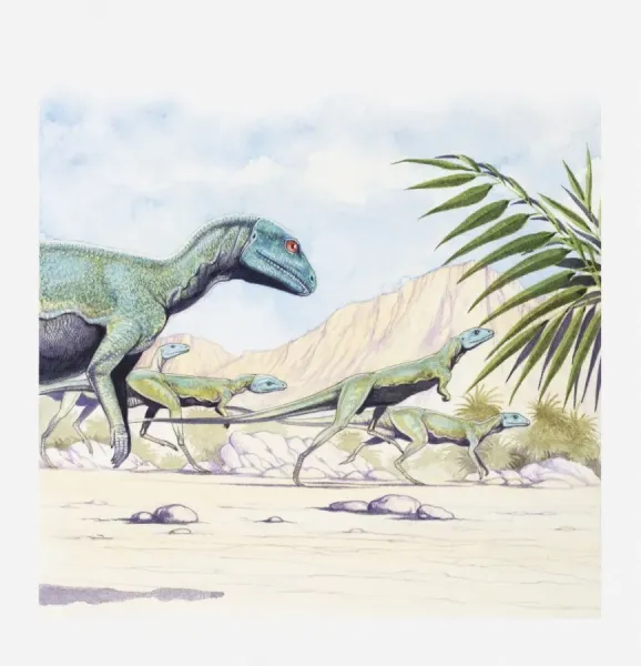 Train De Dinosaures Lesothosaurus A New Cretaceous Thyreophoran From
