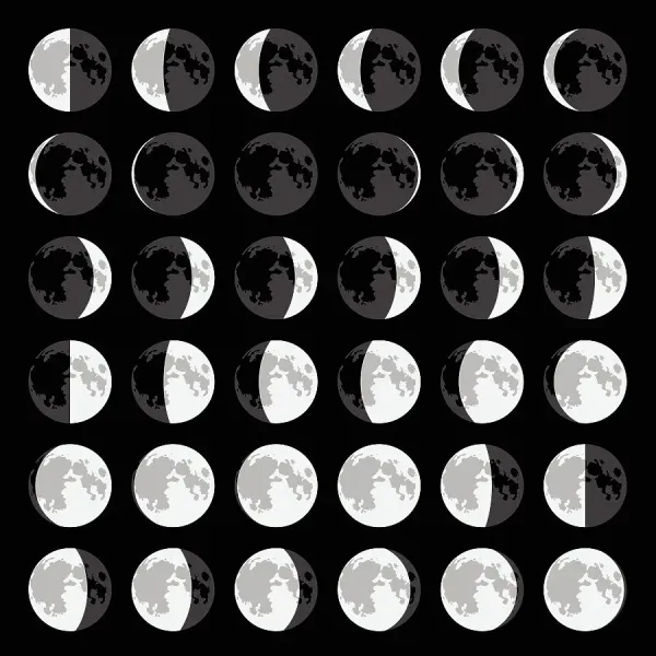 8 Moon Phases Clip Art