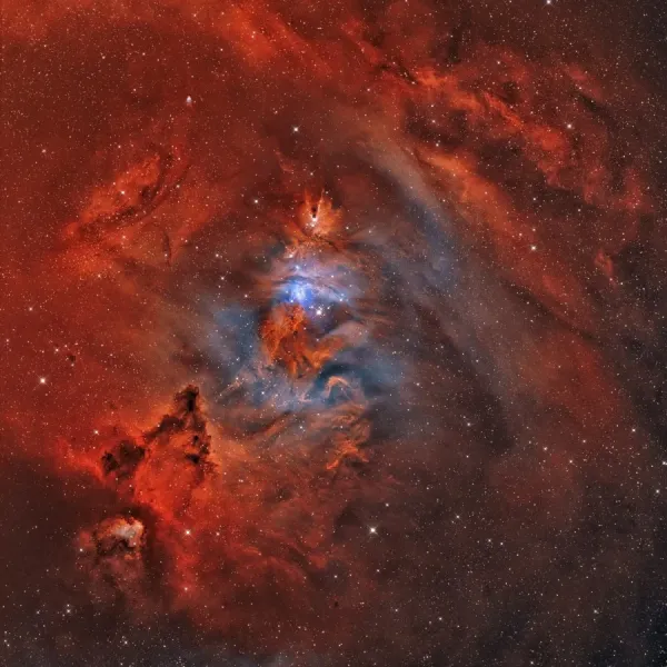 Fox Fur Nebula