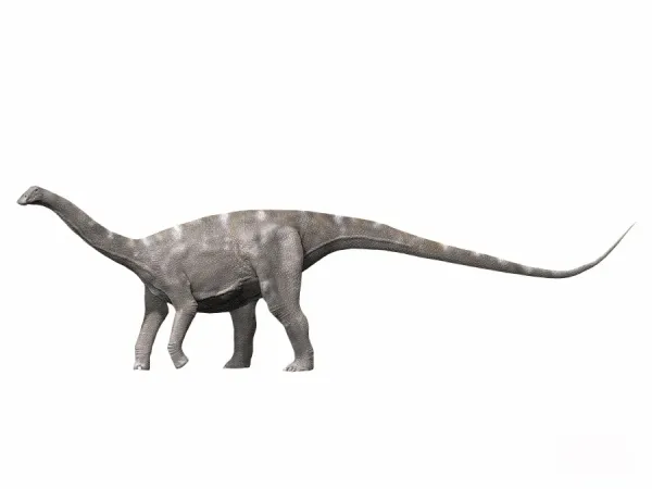 Nigersaurus Dinosaur
