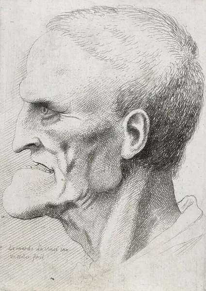 Caricatures And Deformities After Leonardo Our Beautiful Wall Art And