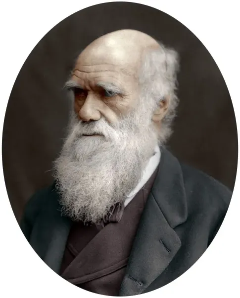 Charles Darwin, British naturalist, 1878 Our beautiful Wall Art and ...
