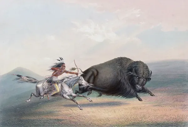 Native Americans Hunting Bison
