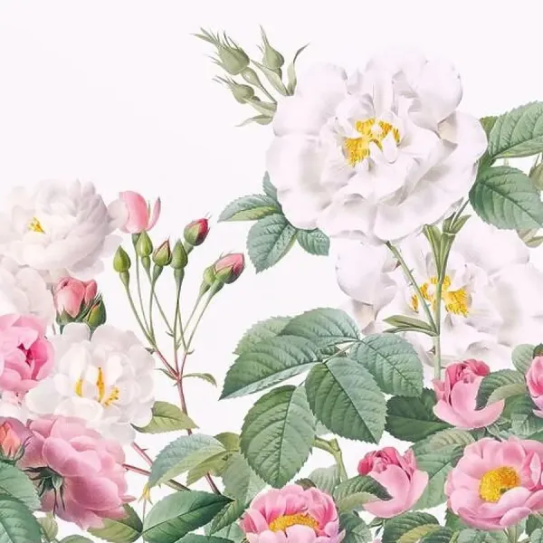 Rose Flowers. Floral design in a square format Our beautiful Wall Art ...