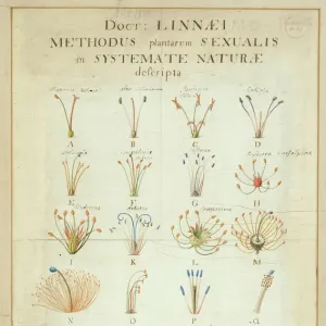 Famous inventors and scientists (Historic) Collection