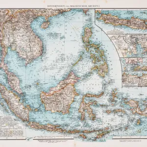 Cervidae (Mammals, Animals) Gallery available as Framed Prints, Photos ...