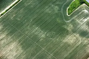 Crop Mark Art Prints, Posters & Puzzles