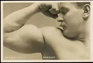 Media Storehouse: Sandow Art Prints Collection