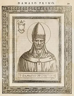 Damasus Prints