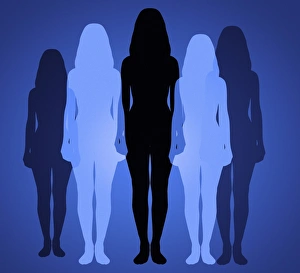 Media Storehouse: Female Identity