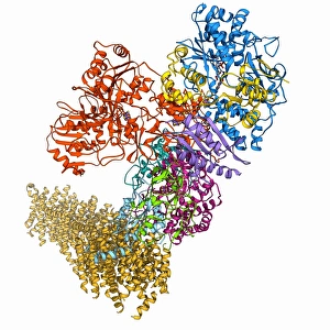 Proton Channel Art Prints, Posters & Puzzles