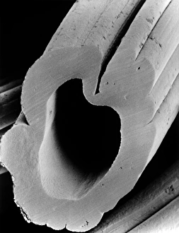 Hollow Fibre Art Prints, Posters & Puzzles