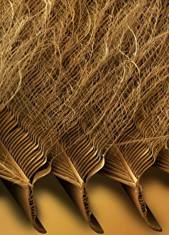 Media Storehouse: Feather Structure