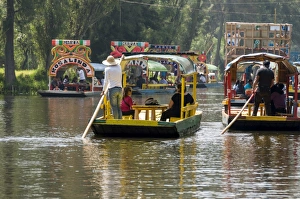 Lake Xochimilco Art Prints Collection