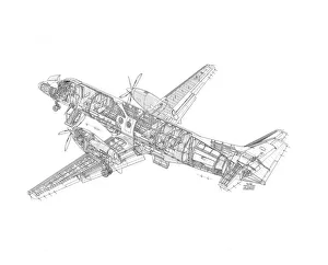 Civil Aviation 1949-Present Cutaways Art Prints, Posters & Puzzles