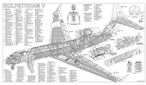 Gulfstream Cutaway Art Prints, Posters & Puzzles