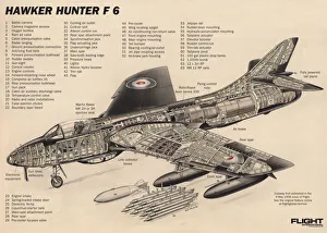 Cutaway Posters Art Prints, Posters & Puzzles