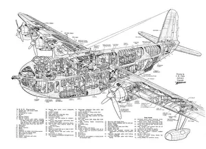 Cutaway Posters Art Prints, Posters & Puzzles