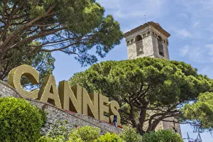 Castle Museum Art Prints