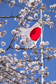 Japanese Flag Collection of Photo Prints and Gifts