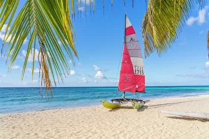 Dover Beach Prints