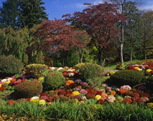 Seamon Park Collection of Photo Prints and Gifts