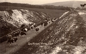 Long Furlong Collection of Photo Prints and Gifts