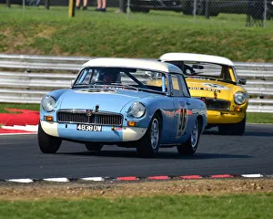 Nigel Brain Art Prints, Posters & Puzzles