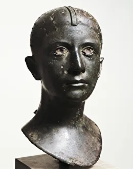 Velleia Art Prints, Posters & Puzzles