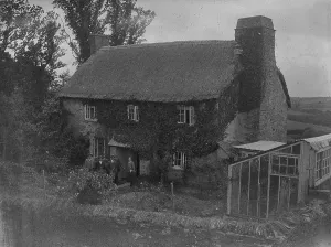 Merther Art Prints, Posters & Puzzles