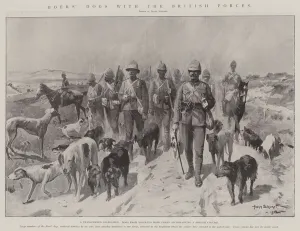 Media Storehouse: British Forces