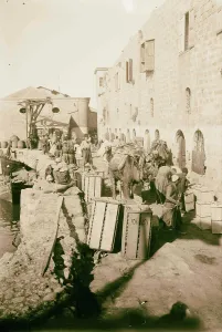 Jaffa Orange Art Prints, Posters & Puzzles