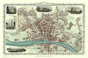 Old Map Of Newcastle Art Prints, Posters & Puzzles