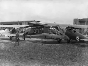 Hawker Hind Art Prints, Posters & Puzzles