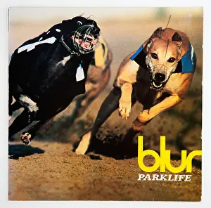 Media Storehouse: Cover Art Art Prints Collection