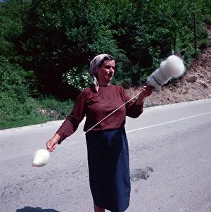 Spindel Art Prints, Posters & Puzzles